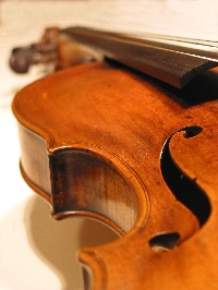 Fungal infection may be next best thing to a Strad