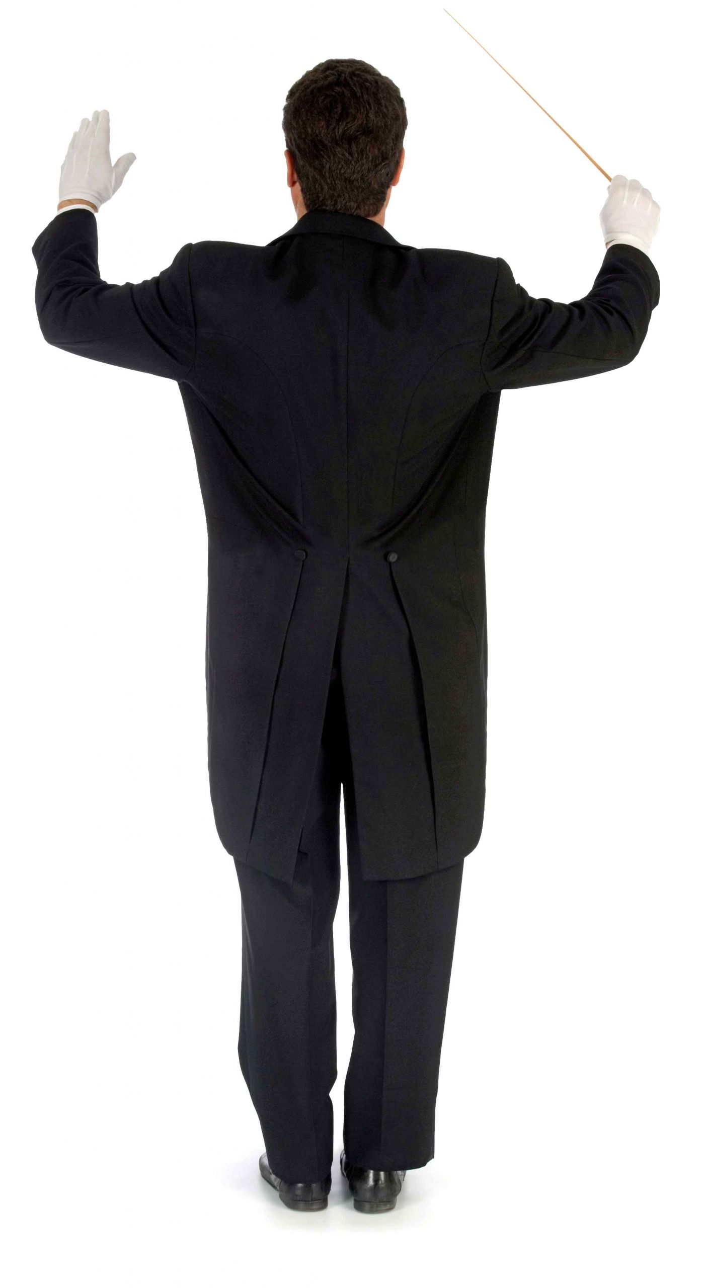 Musical Briefing: The Conductor