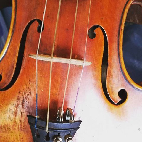 Rare violin by tortured genius turns up in Queensland