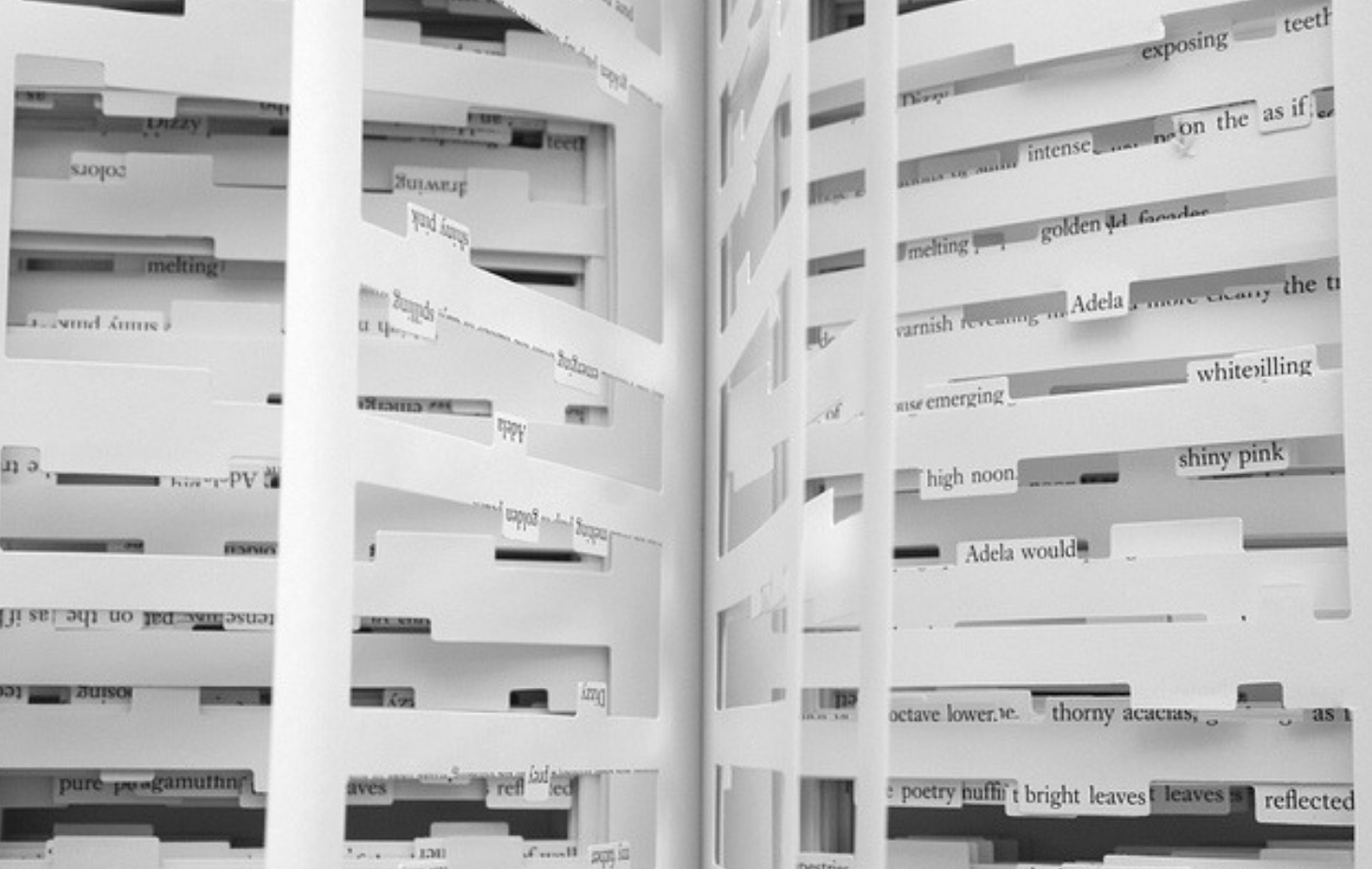 Tree of Codes: The opera that lives within the cracks