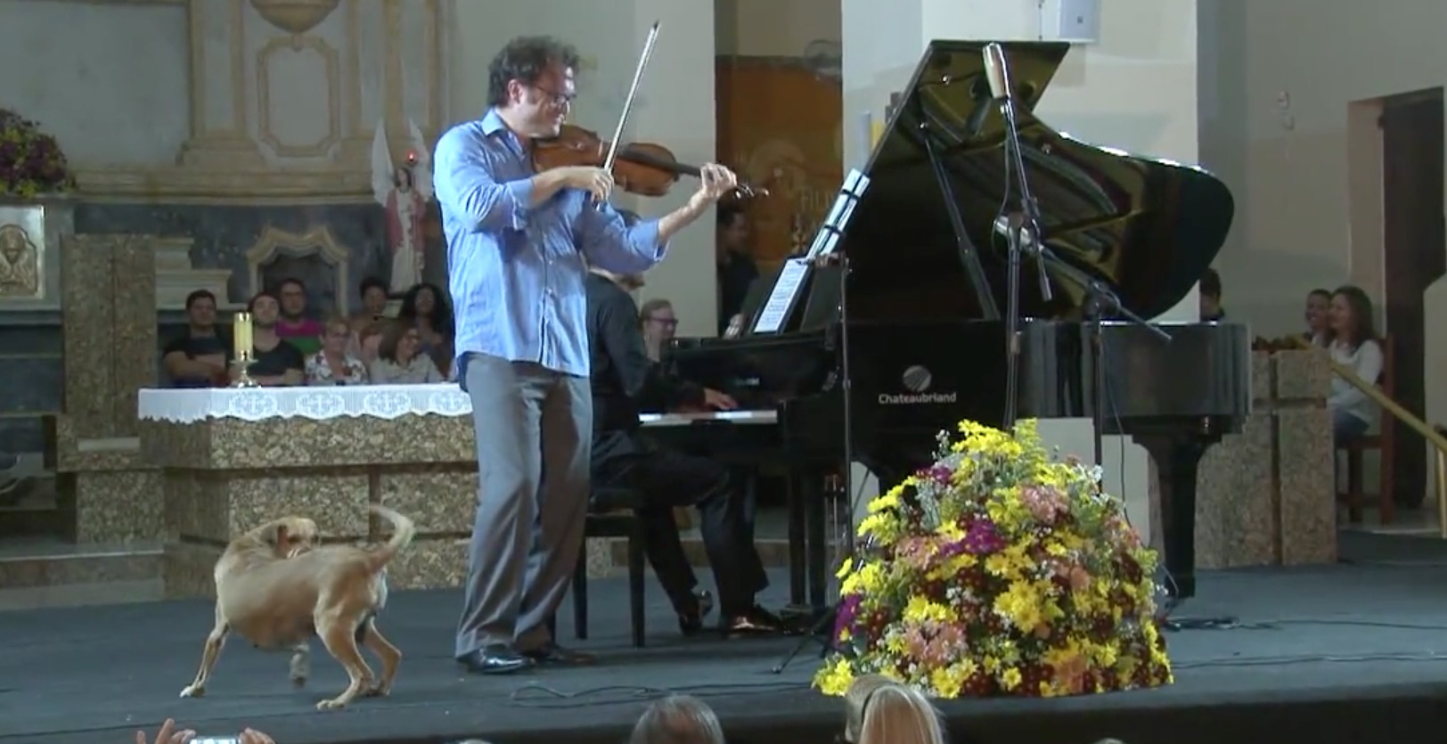 Canine classical music fan steals the show