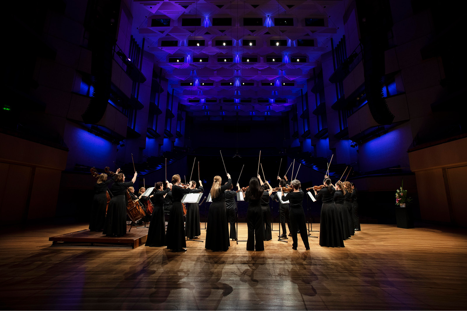 Camerata announces its 2020 season