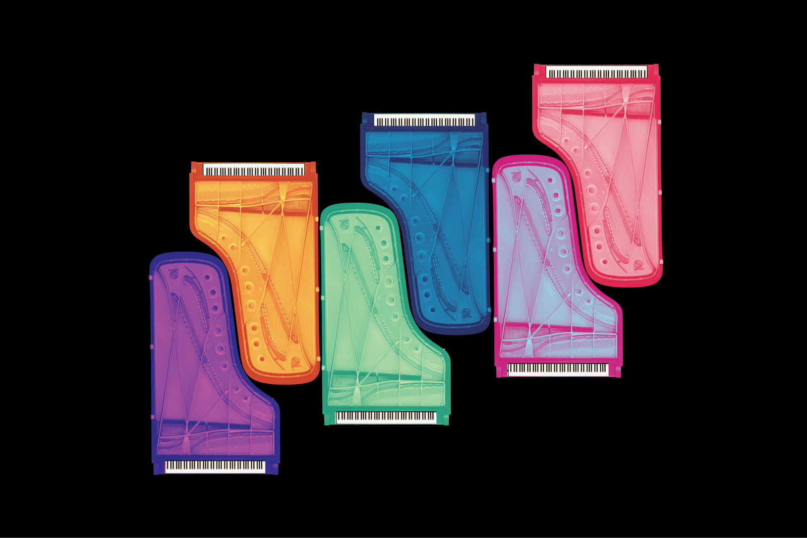 Twelve hands make light work