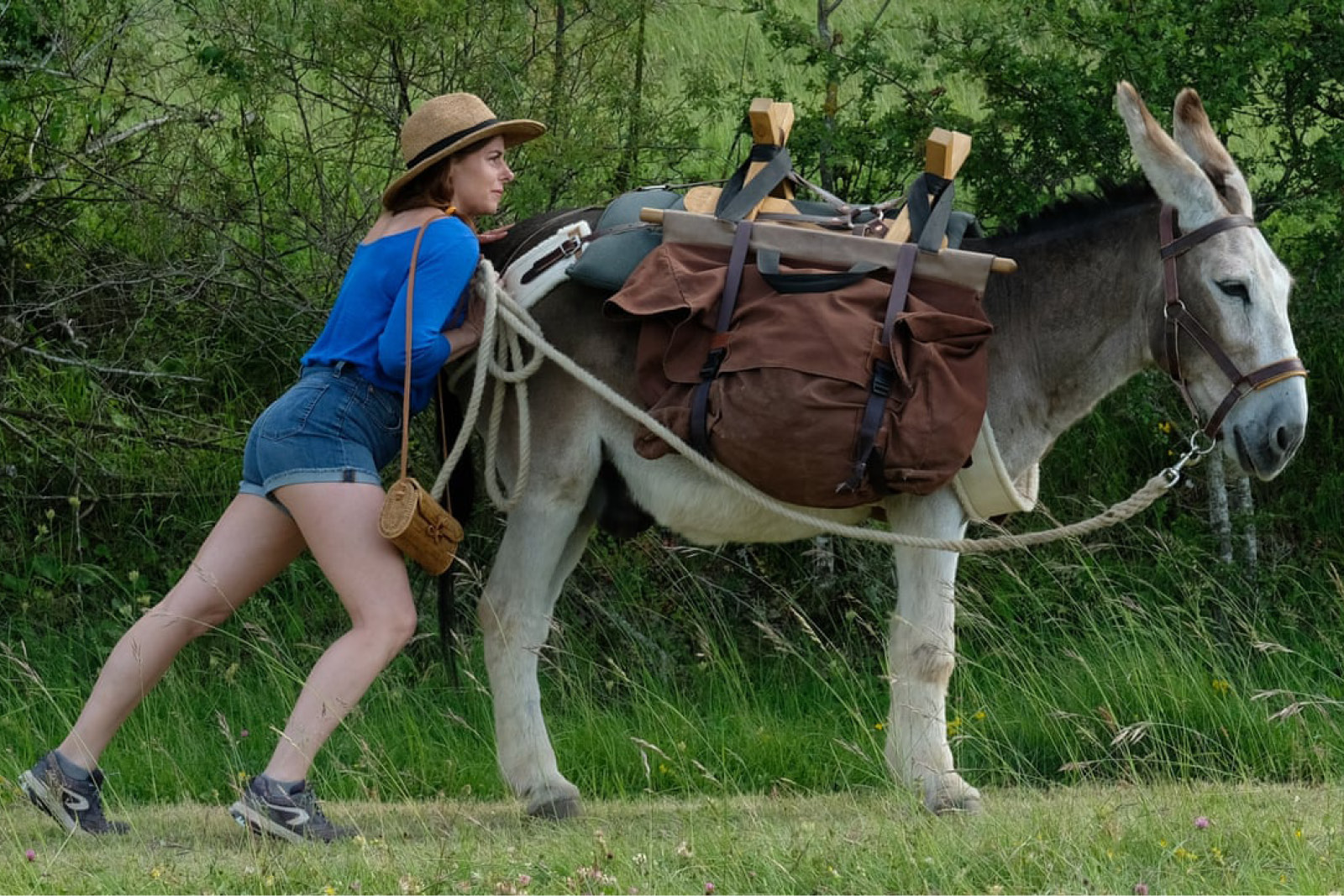 On Screen: in cinemas and streaming from April 2021