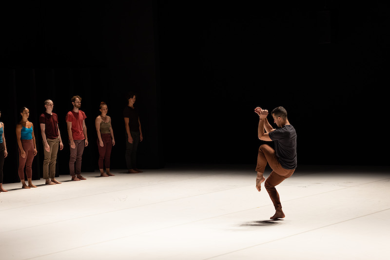 Sydney Festival boycott: pro-boycott voices