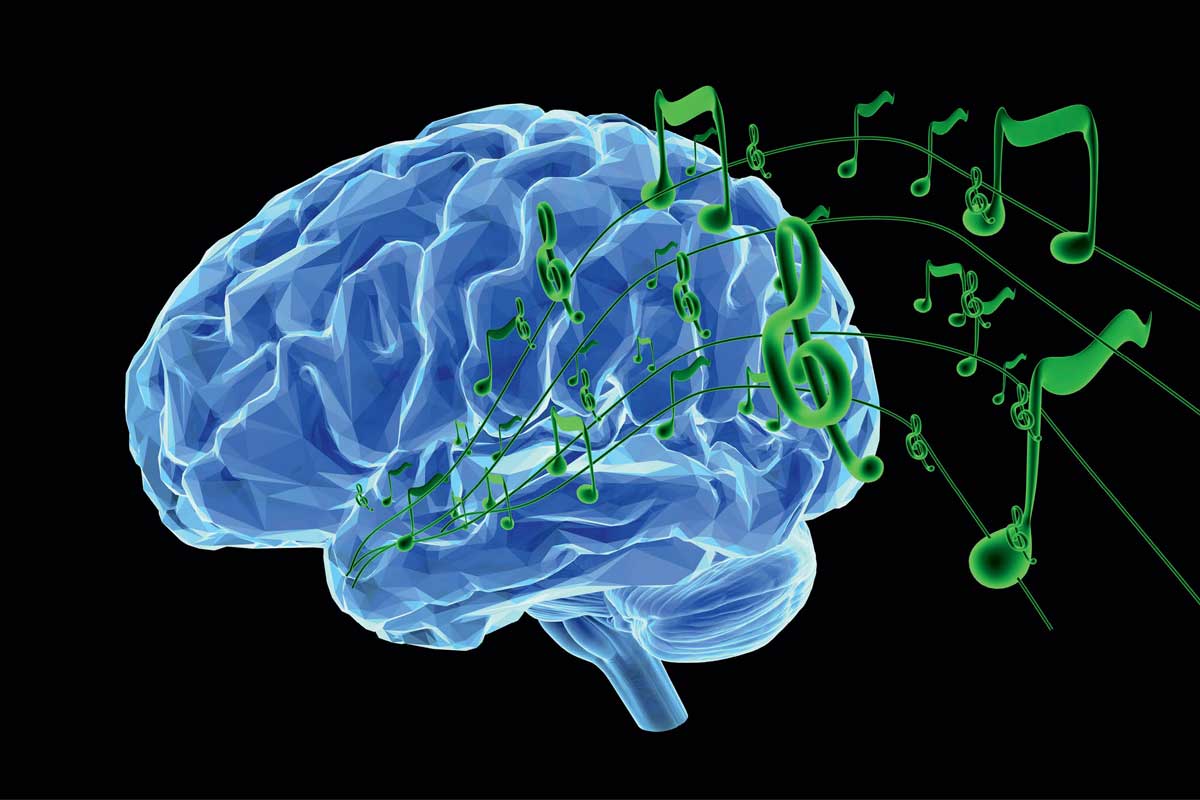 Music and the Brain