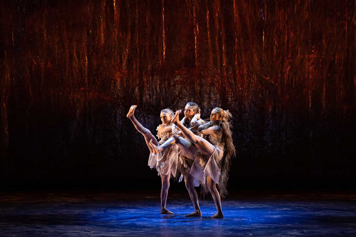 Frances Rings: Dance and Truth-telling