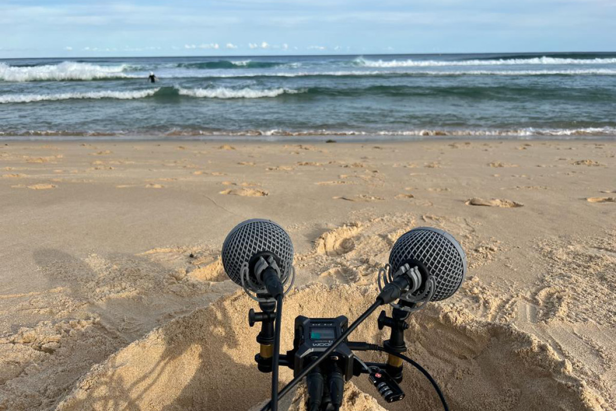 Listening to Earth: the counterpoint of sand and sea