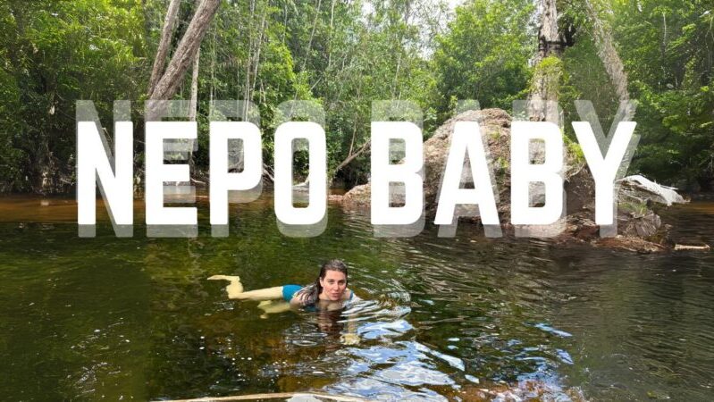 NEPO BABY - Limelight