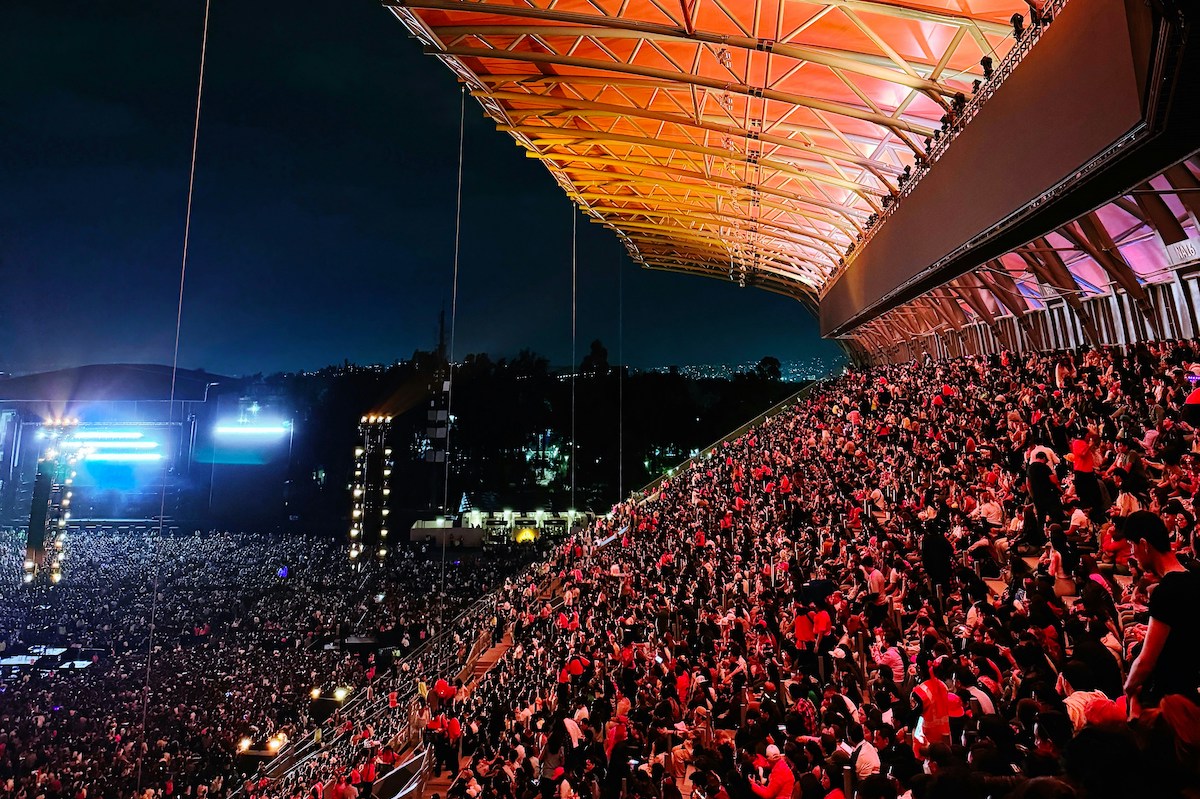 Big gigs for local bands