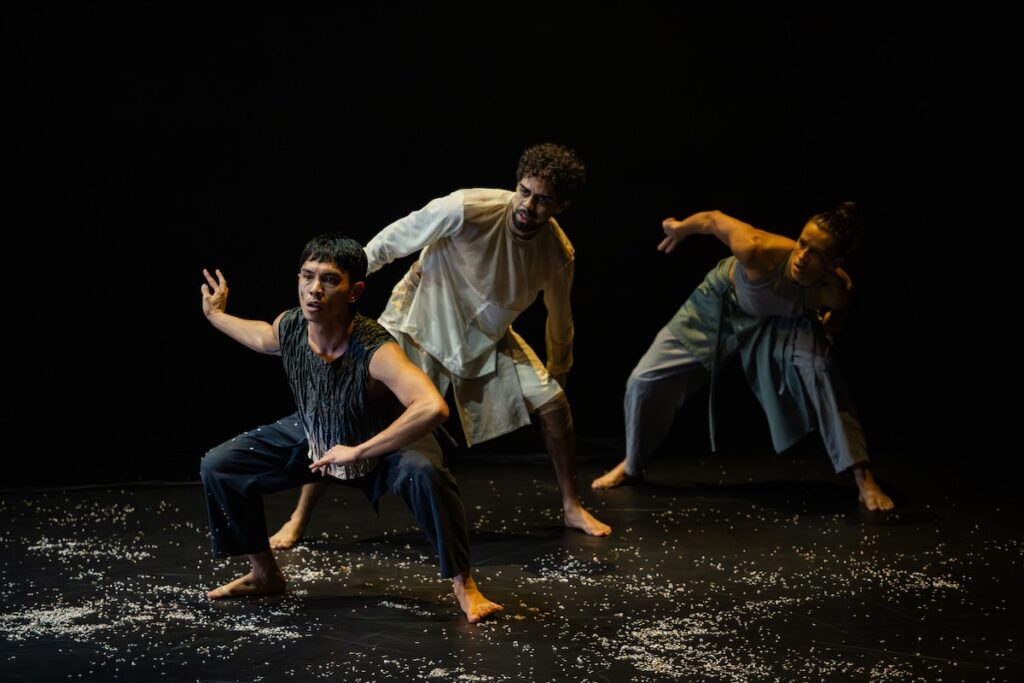 Two Blood (Australian Dance Theatre, Kurinji & OzAsia Festival)