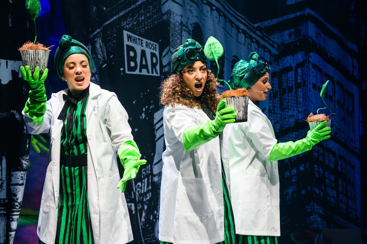 Little Shop of Horrors (Queensland Performing Arts Centre & Woodward ...