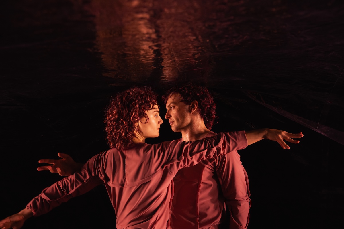 Red/The Forest (Australian Dance Biennale & RISING Festival)